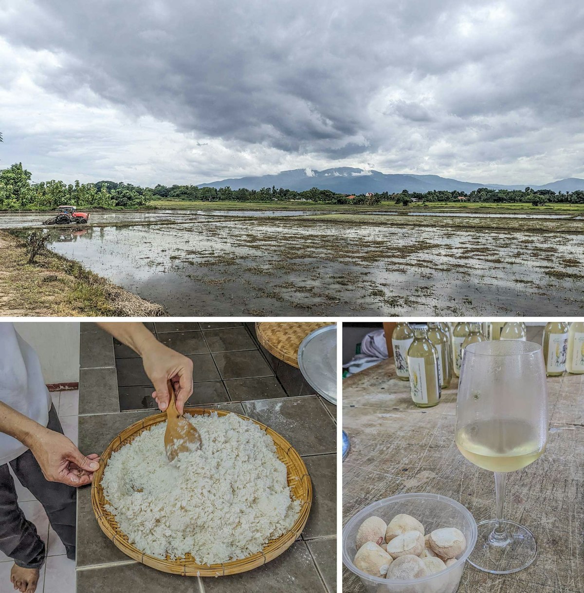 Sato: Thailand’s Enigmatic Sticky-Rice Beer | Craft Beer & Brewing