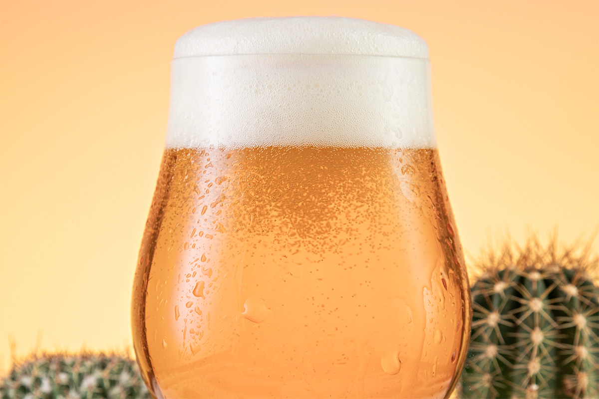 Try for Dry: Brewing IPAs That Make You Want More | Craft Beer & Brewing