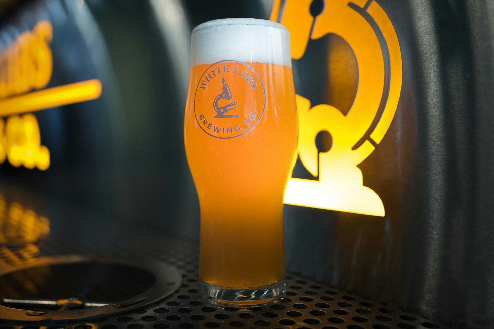 Mastering the Art of Lager Fermentation: Pro Tips for a Crisp, Clean ...
