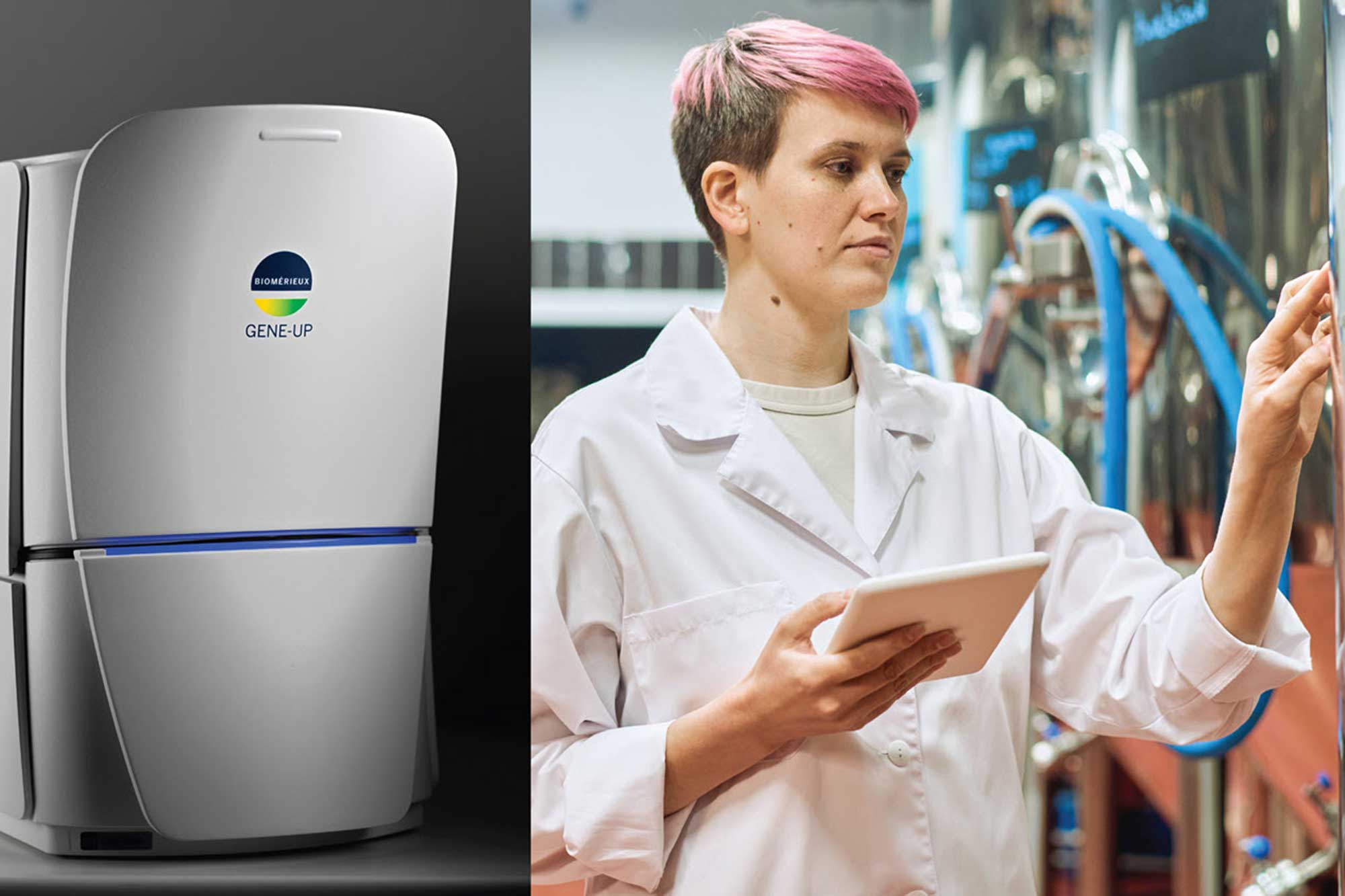 Build a Better QC Program through Targeted PCR Solutions | Craft Beer ...