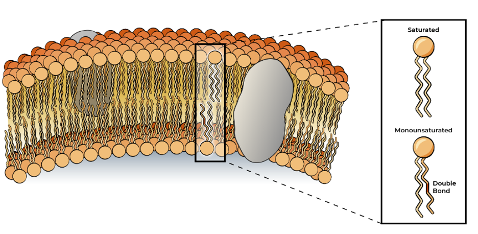 Tips from the Pitch: Brewing Big Beers | Craft Beer & Brewing