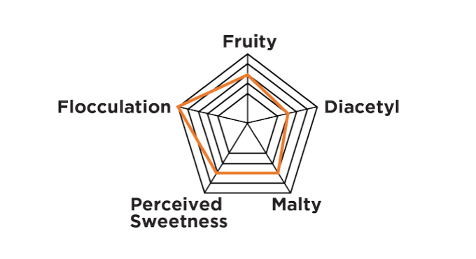 Tips from the Pitch: Brewing Big Beers | Craft Beer & Brewing