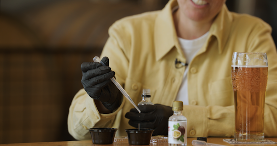 Lexicon | Description Training and Building Vocabulary | Craft Beer ...