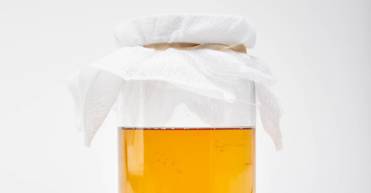 Under the Microscope: Brewing a Sense of Place with Wild Yeast ...