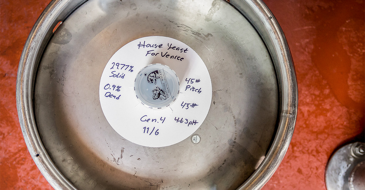 Under the Microscope: Better Beer with House Yeast? | Brewing Industry ...