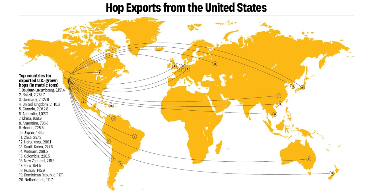 Infographic: Hops In, Hops Out | Brewing Industry Guide