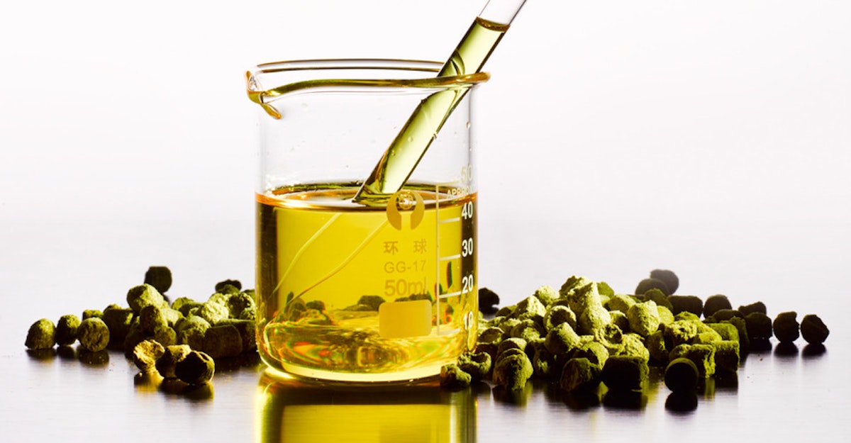 Hops Insider: Keeping Up with the New Hop Products | Brewing Industry Guide