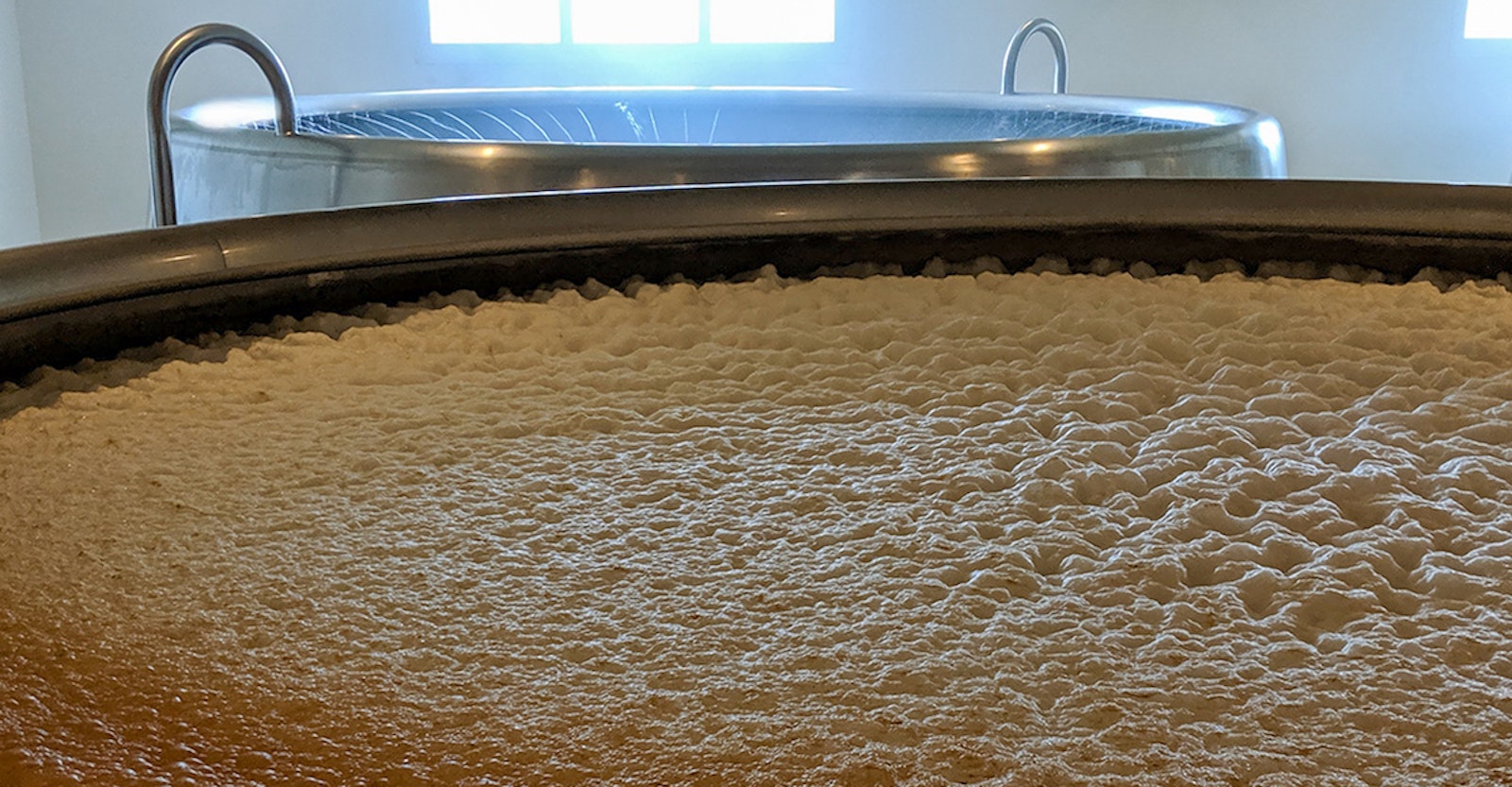 Under the Microscope: Opening Up About Open Fermentation | Brewing ...