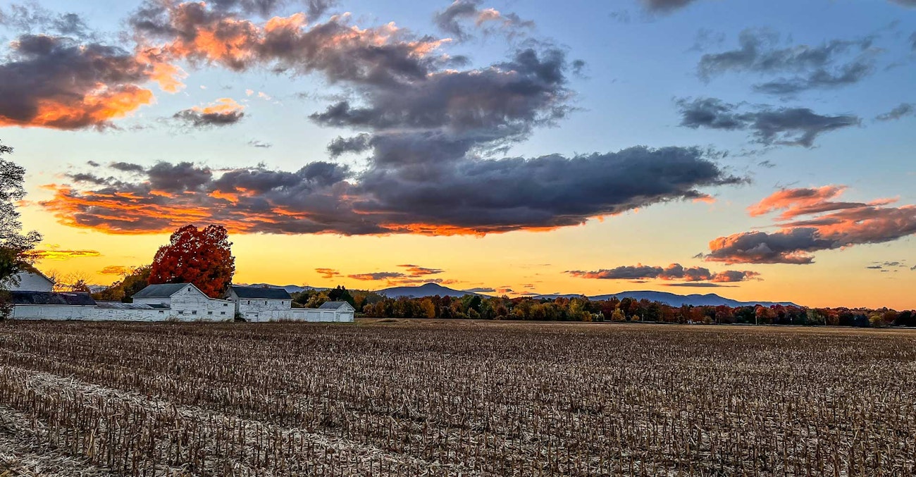 Case Study: Suarez Family Brewery | Brewing Industry Guide