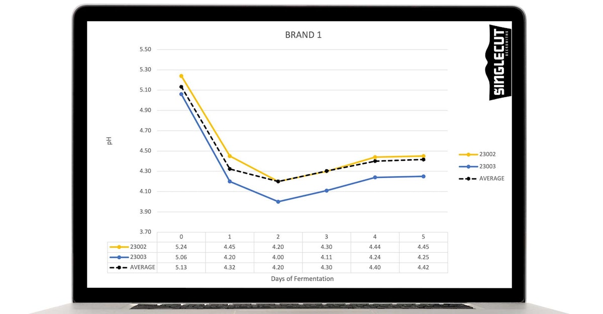 Using Spreadsheets to Track and Improve Fermentations | Brewing ...