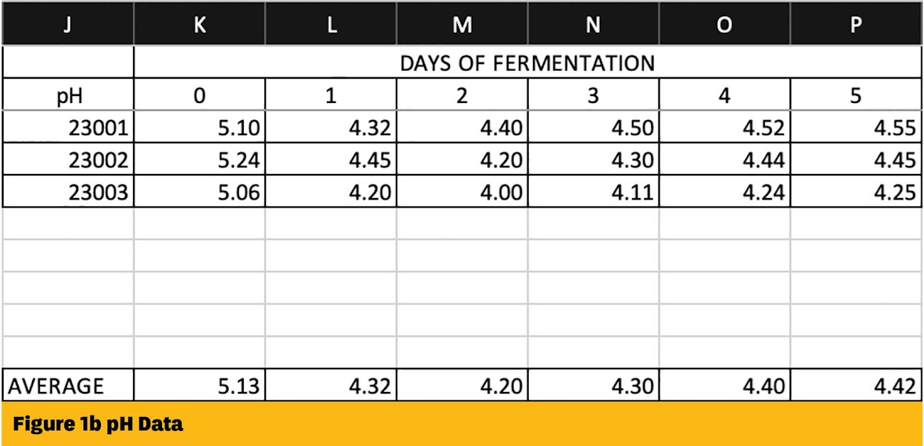 Using Spreadsheets to Track and Improve Fermentations | Brewing ...