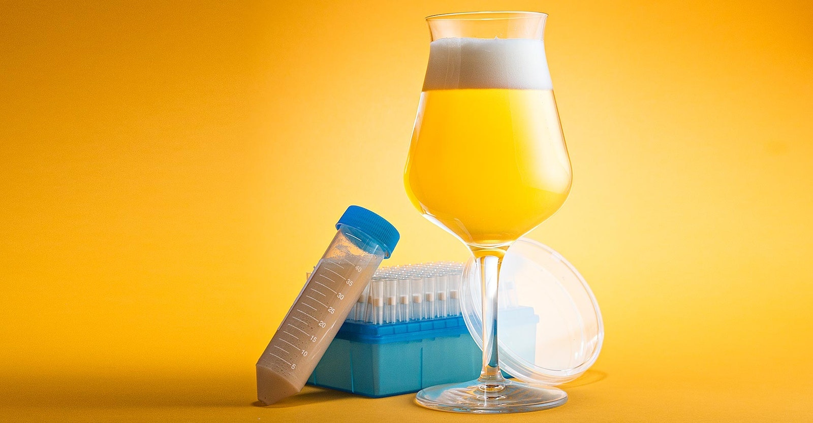 Yeast Fermentation Beer Yeast: The Practical Guide To Beer