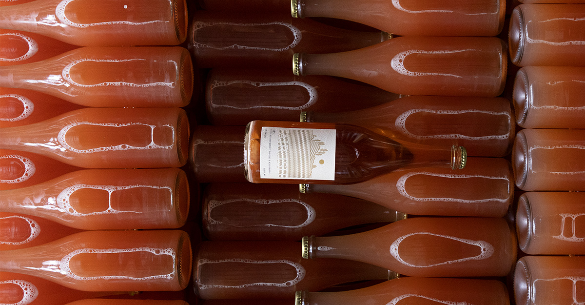 Packaging: The Return of Returnable Beer Bottles? | Brewing Industry Guide