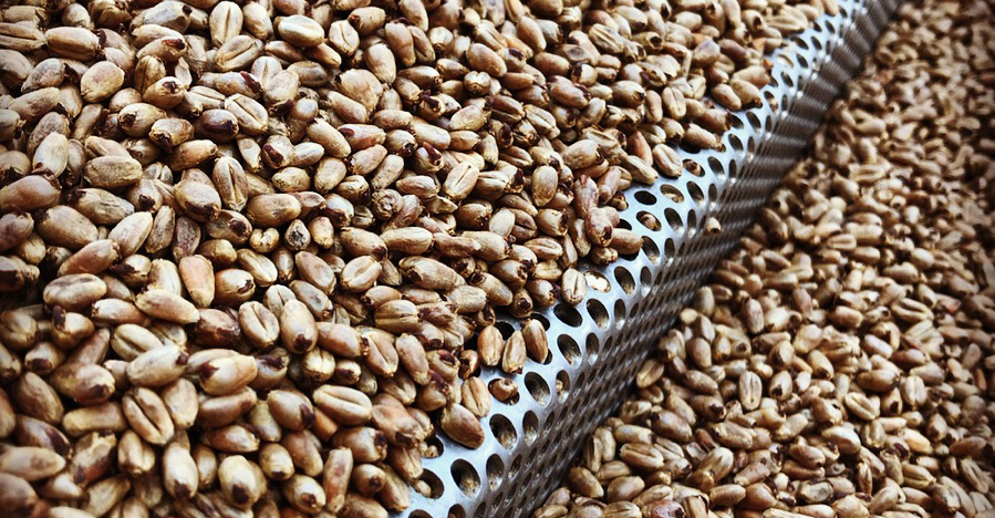Taking Advantage of Custom Malt | Brewing Industry Guide