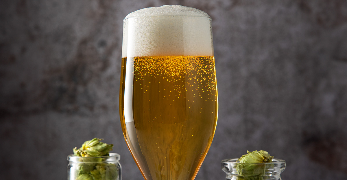 Old Strains, New Flavors: Biotransformation in Lager Yeast | Brewing ...