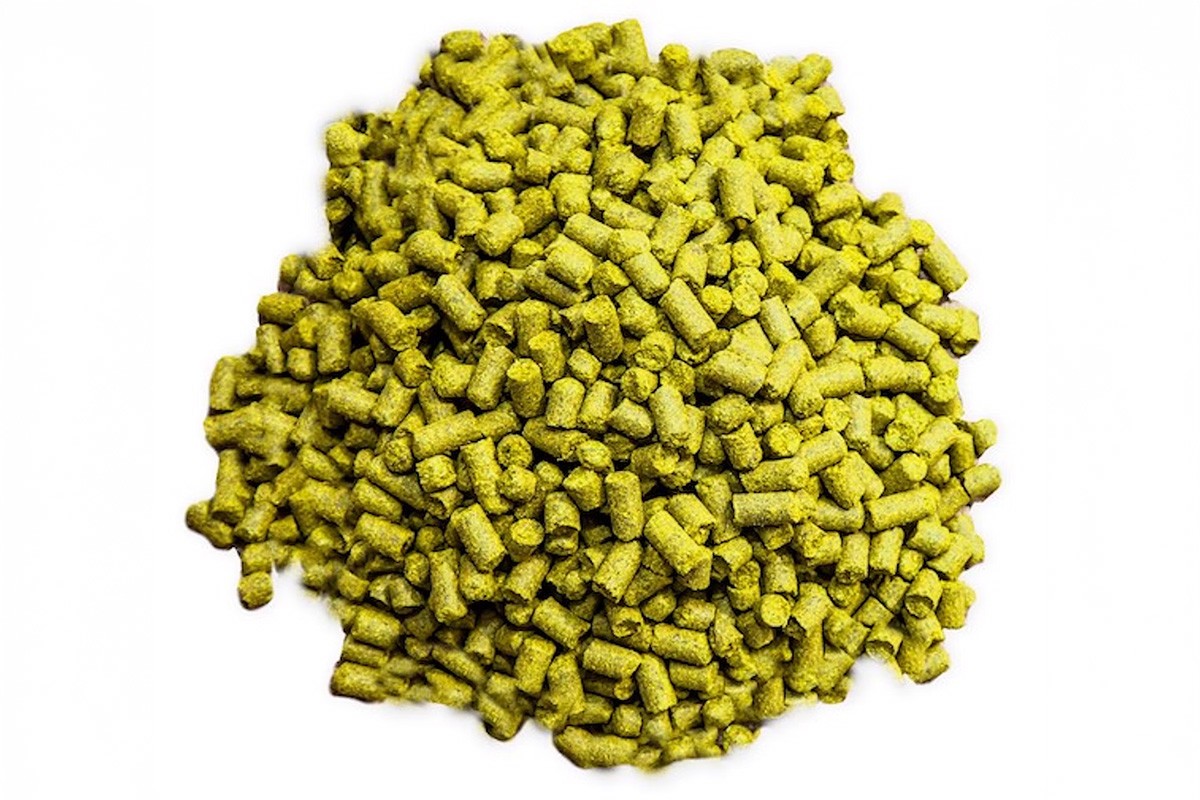 Hops Insider: Too Many Hops, Too Little Visibility | Brewing Industry Guide