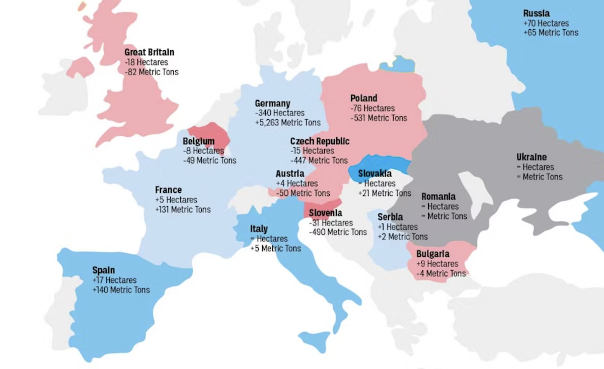 Infographic: Global Hop Shifts | Brewing Industry Guide