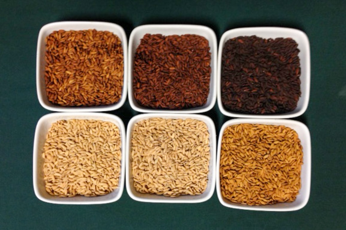 Maltster’s Perspective: Jim Eckert, Rice Malt Pioneer | Brewing ...