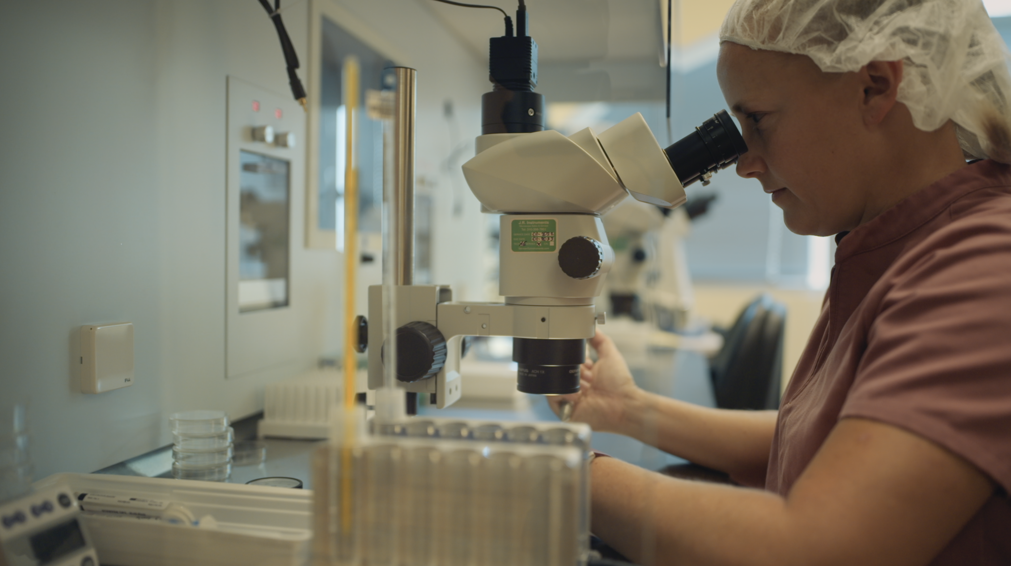 Priceline case study | Wiz