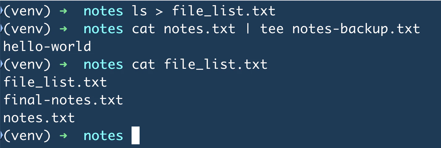 Welcome to the Terminal - Bug Bounty Masterclass | Wiz