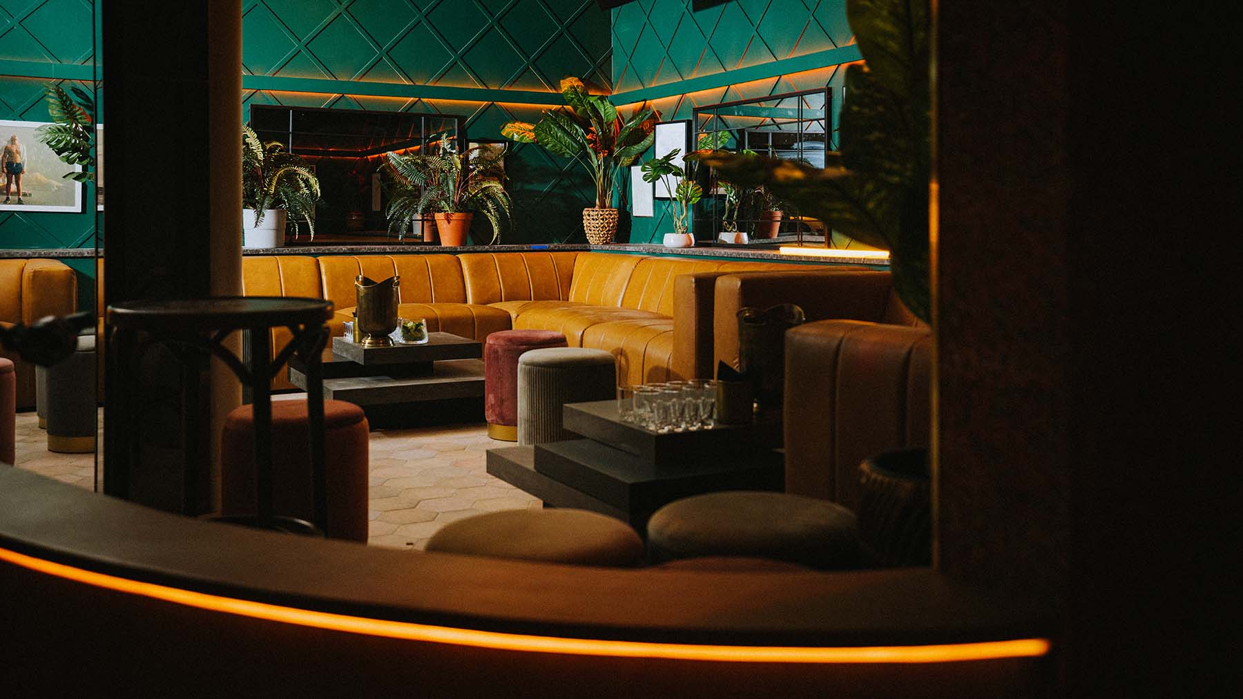 Freehouse Collective