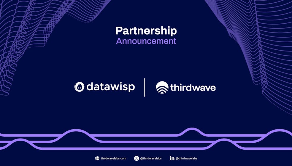 Unlocking the Power of Wallet Intelligence with Datawisp