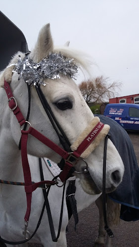 New Forest Fruit - AgeFriendly guide