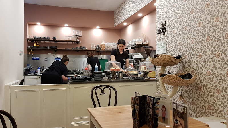 Cat Cafe Liverpool - AgeFriendly guide