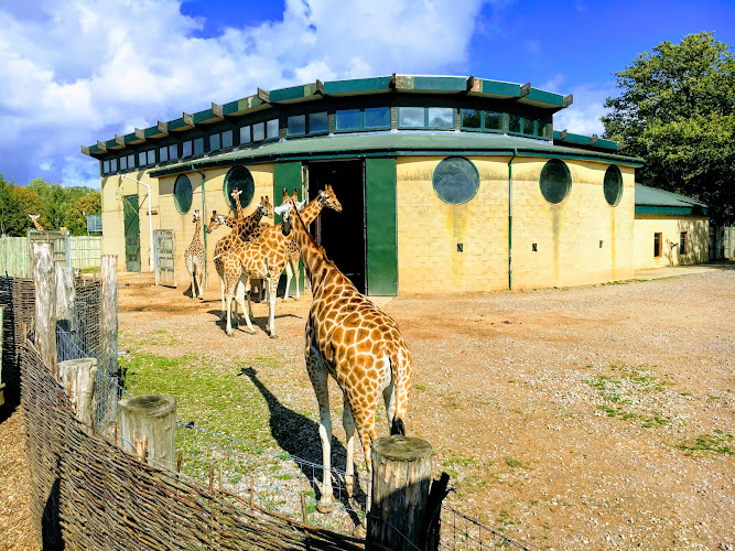 Marwell Zoo Coffee Corner - AgeFriendly guide