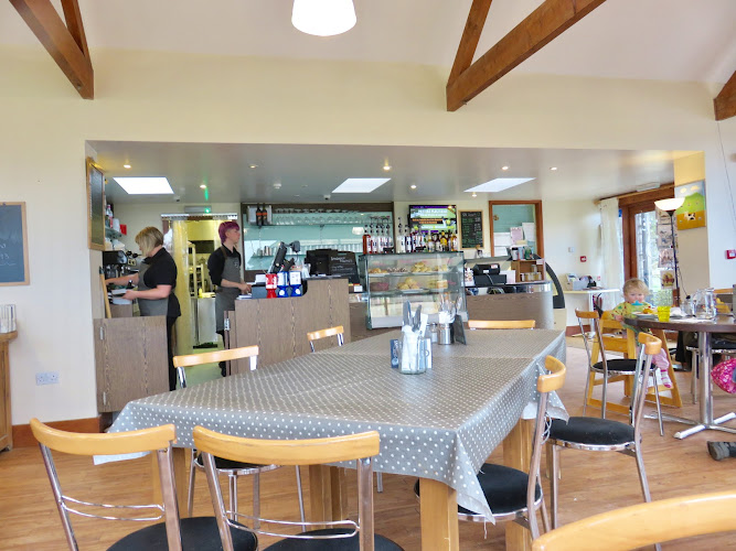 Rowdey Cow Farm Cafe & Ice Cream Parlour - AgeFriendly guide