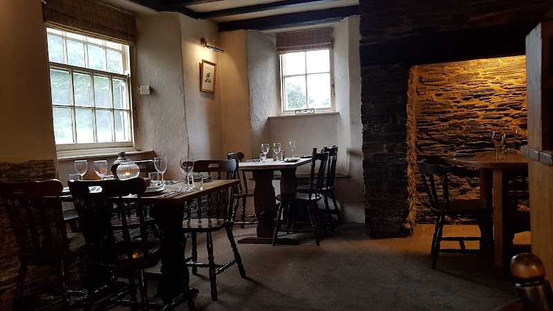 The Springer Spaniel - AgeFriendly guide