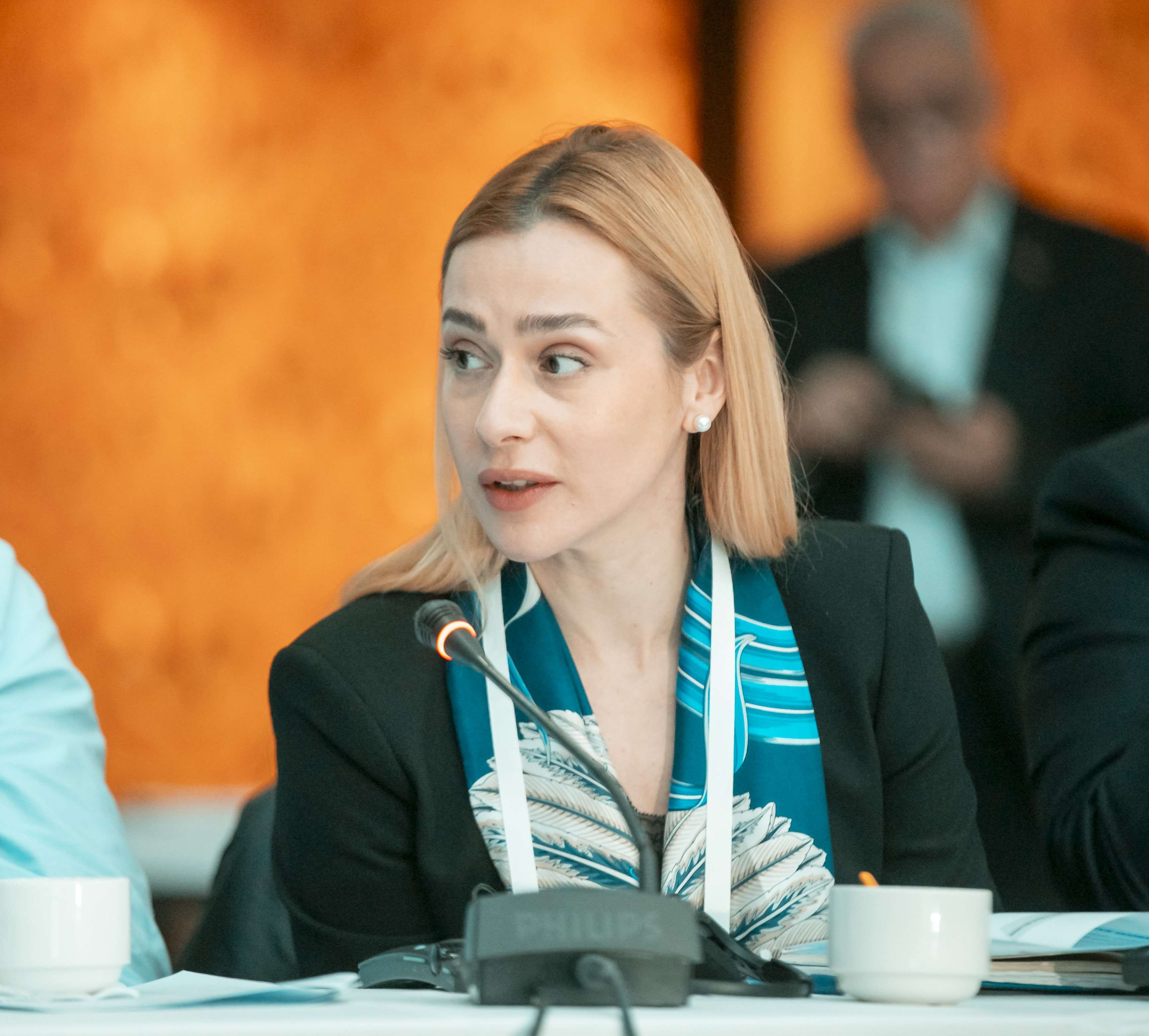 Interview with Eni Kotini, LEAD Fellow, at the Prime Minister’s Office ...