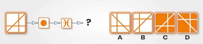 Diagrammatic Reasoning