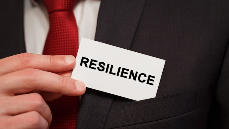 Top 10 Effective Leadership Principles: Definition and Examples