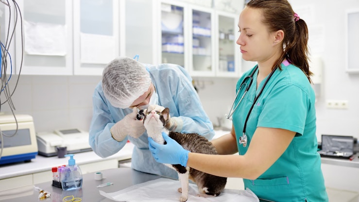 15 Most Useful Degrees: The best degrees to get (2025 guide)