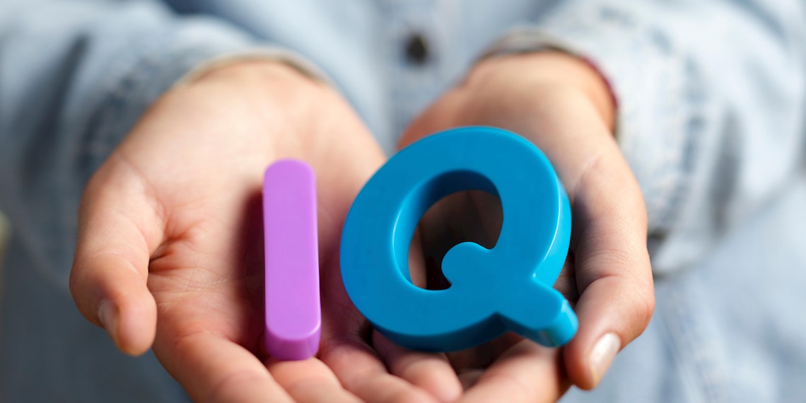 Stanford-Binet IQ Test (Intelligence Scales)