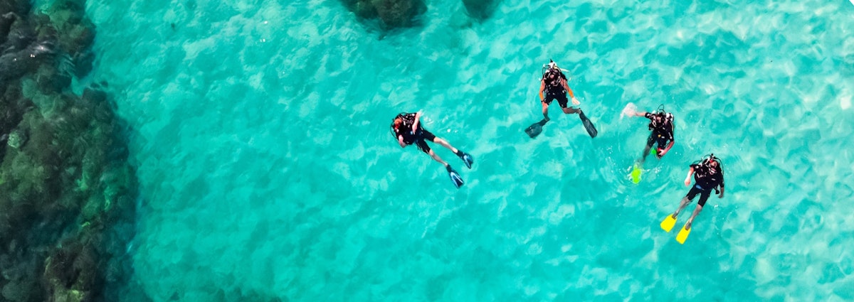Grand Cozumel Diving - Diving Tours