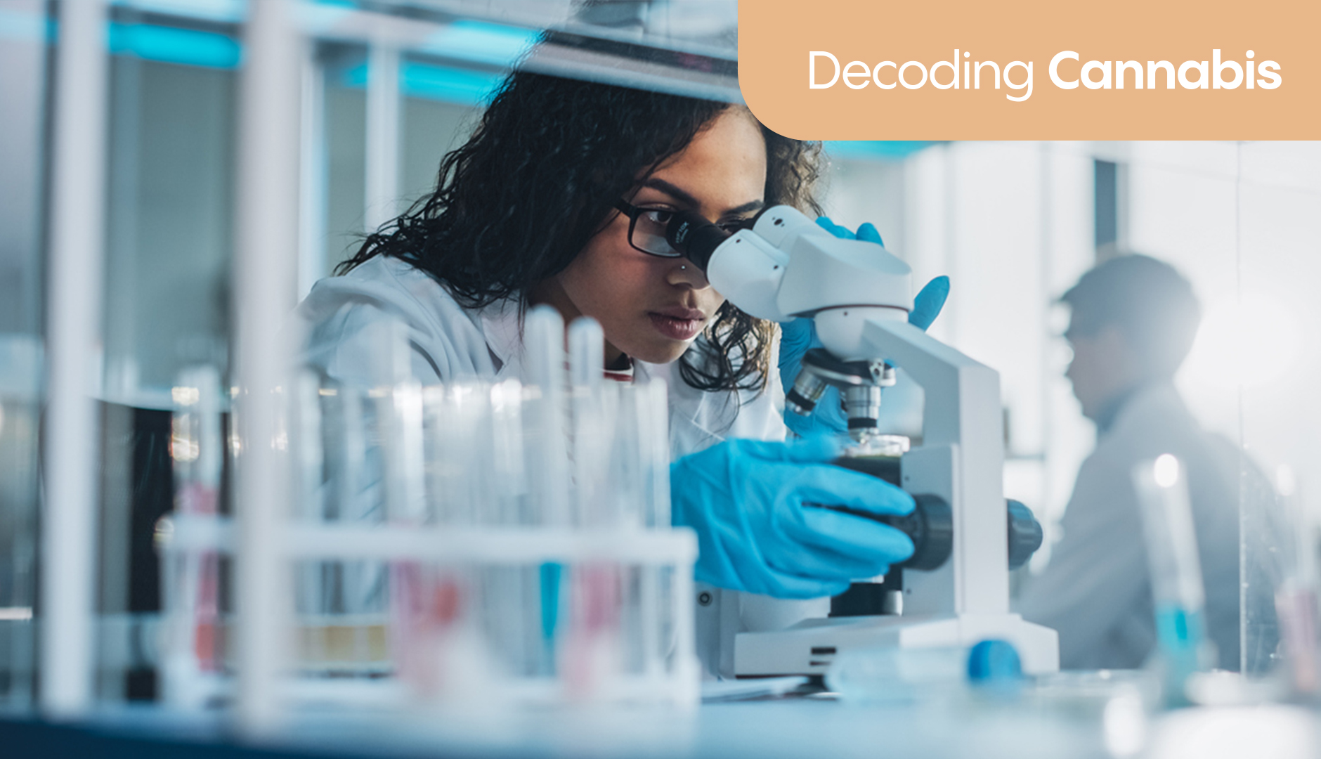 Medical Cannabis Study Results for Sleep Apnoea | Releaf UK