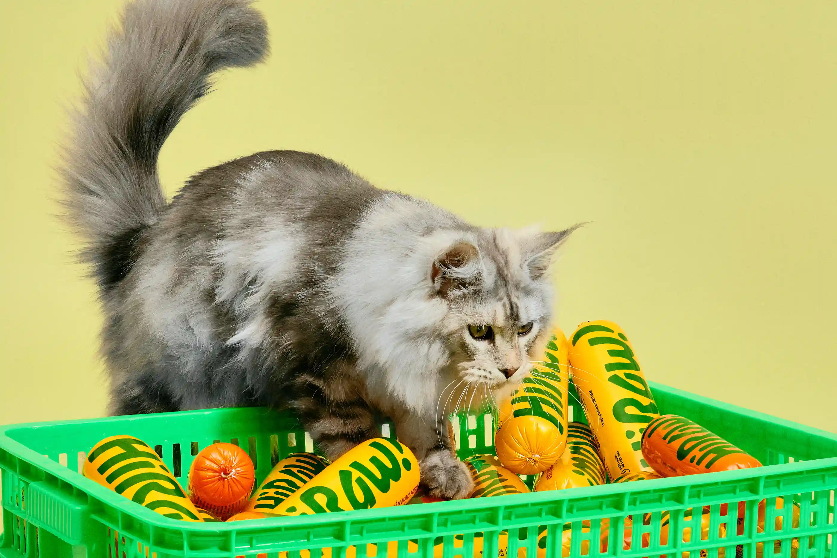 HiRaw! – Design Everywhere