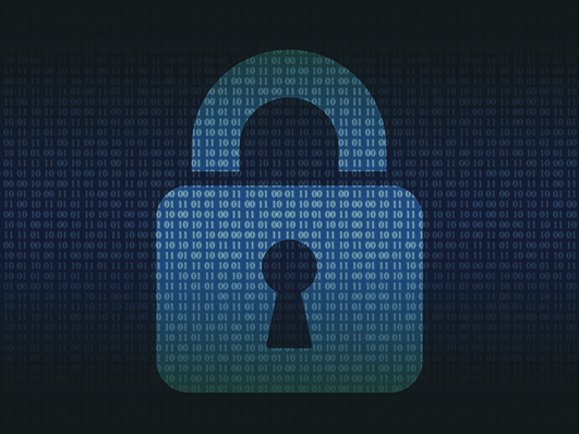 Bundesamt für Sicherheit in der Informationstechnik (BSI)