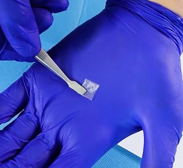 DALI Amnion / Chorion Membrane