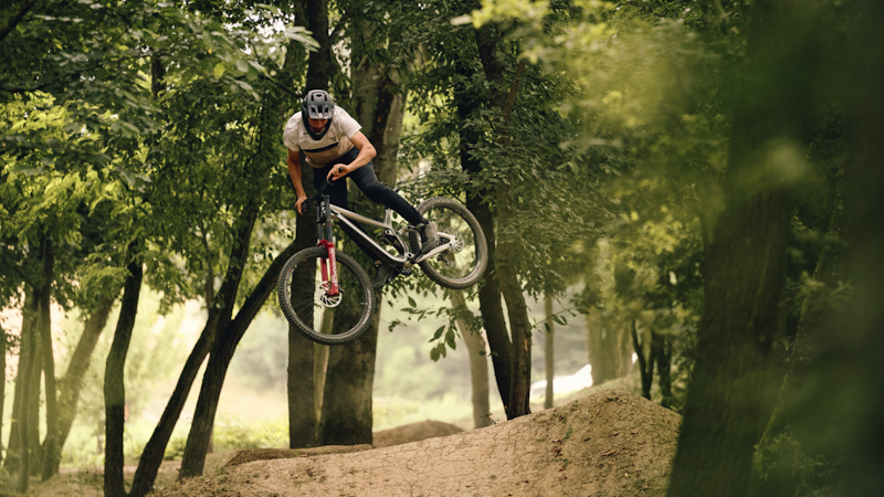Perfect for the Park — All-new Rose SCRUB – 99 Spokes