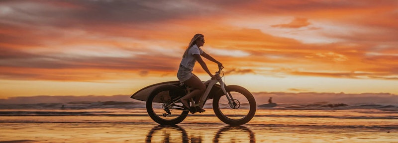 Ari Announces All-new Fat eBike — Explorer Peak – 99 Spokes