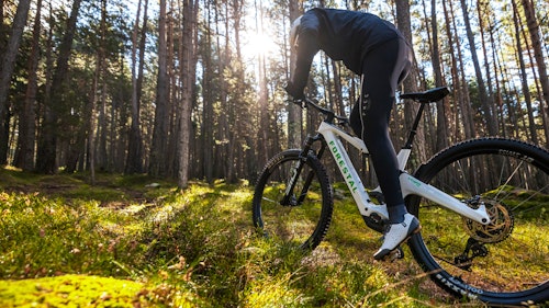 Introducing the Lauf Elja – 99 Spokes