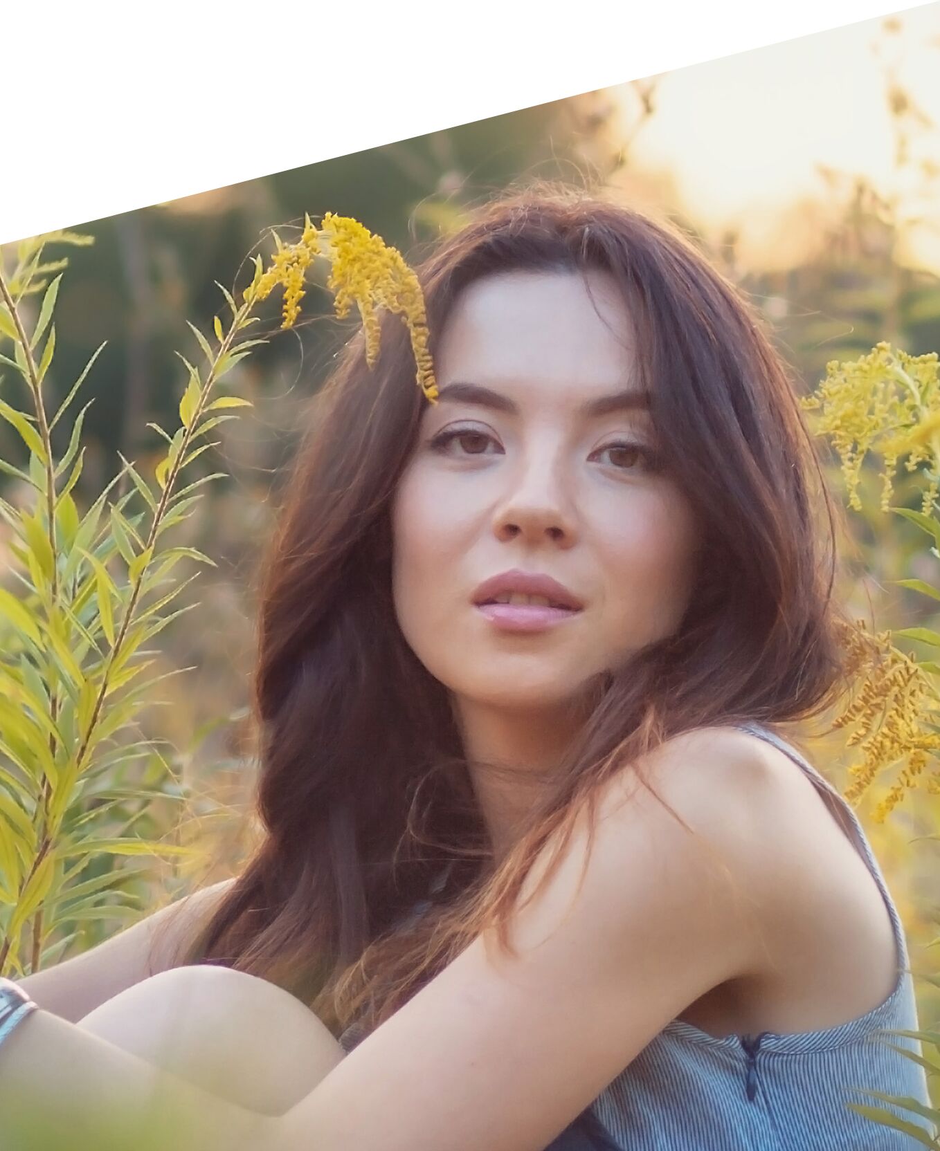 Your Most Beautiful Nose: Understanding Your Nose Type - Philip Miller MD