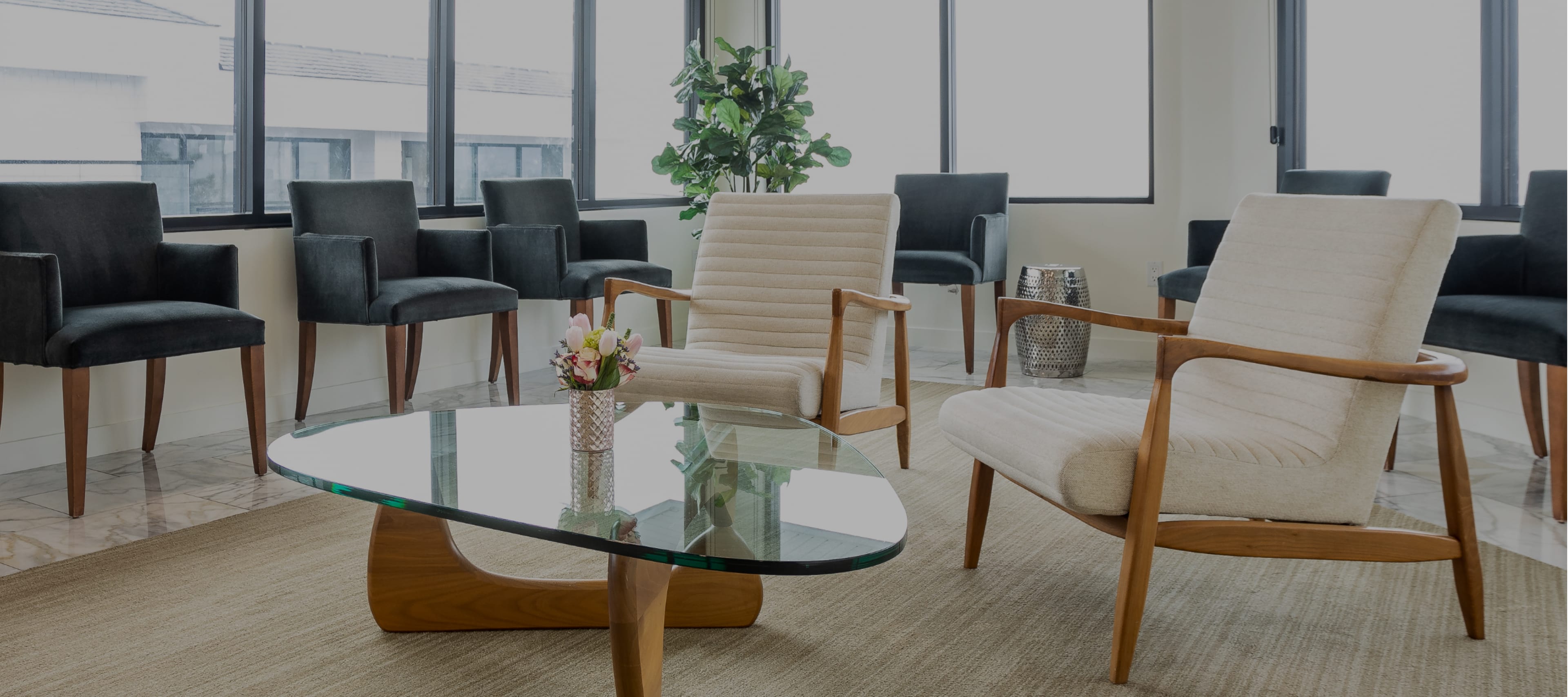 Labiaplasty Newport Beach | Labiaplasty Orange County