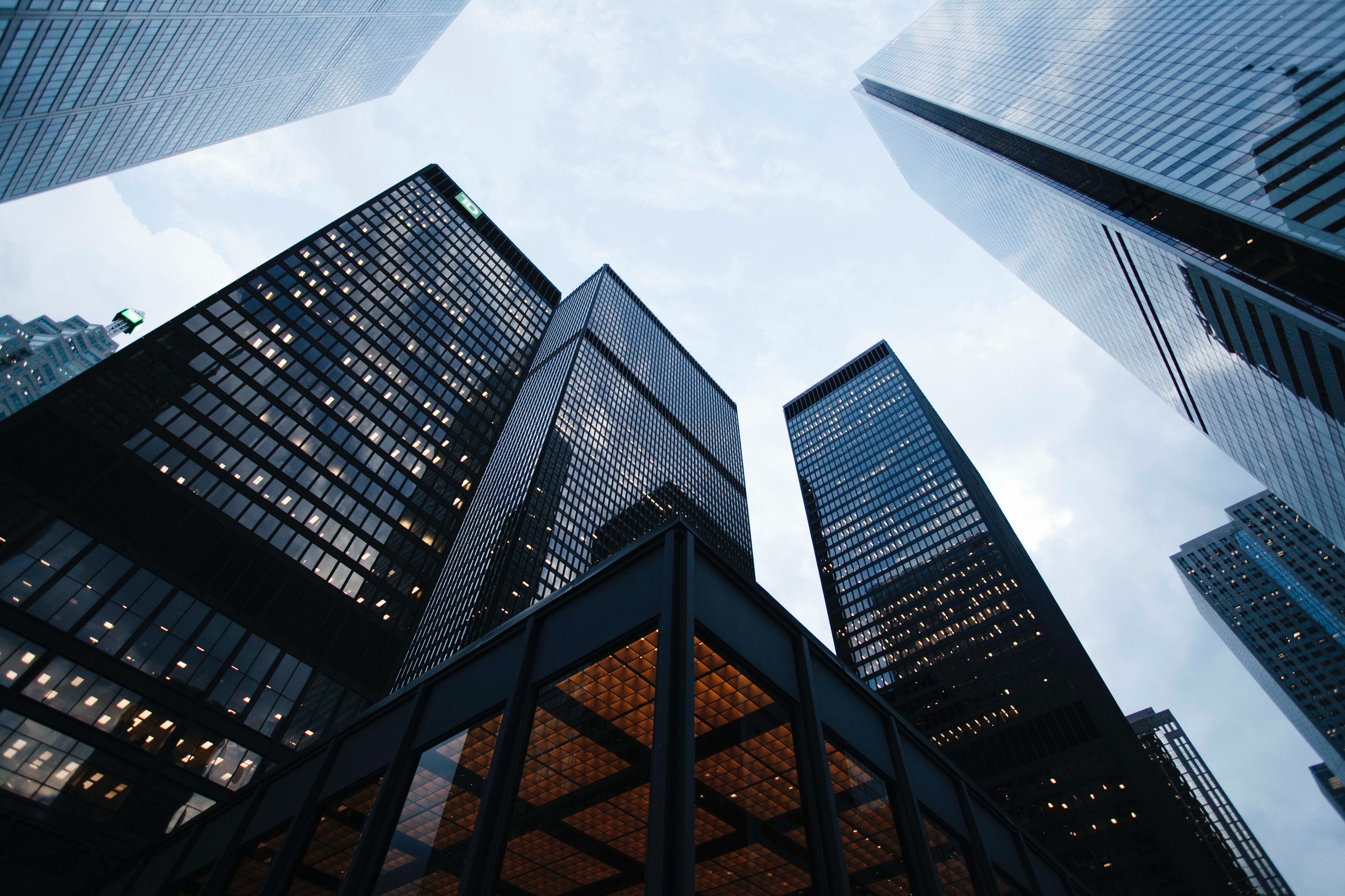Driving innovation and transformation with Moracle and Spotlight ...