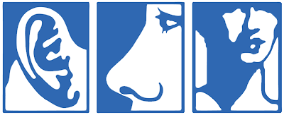 Michael Bibliowicz DO, FAOCOO | Orlando ENT