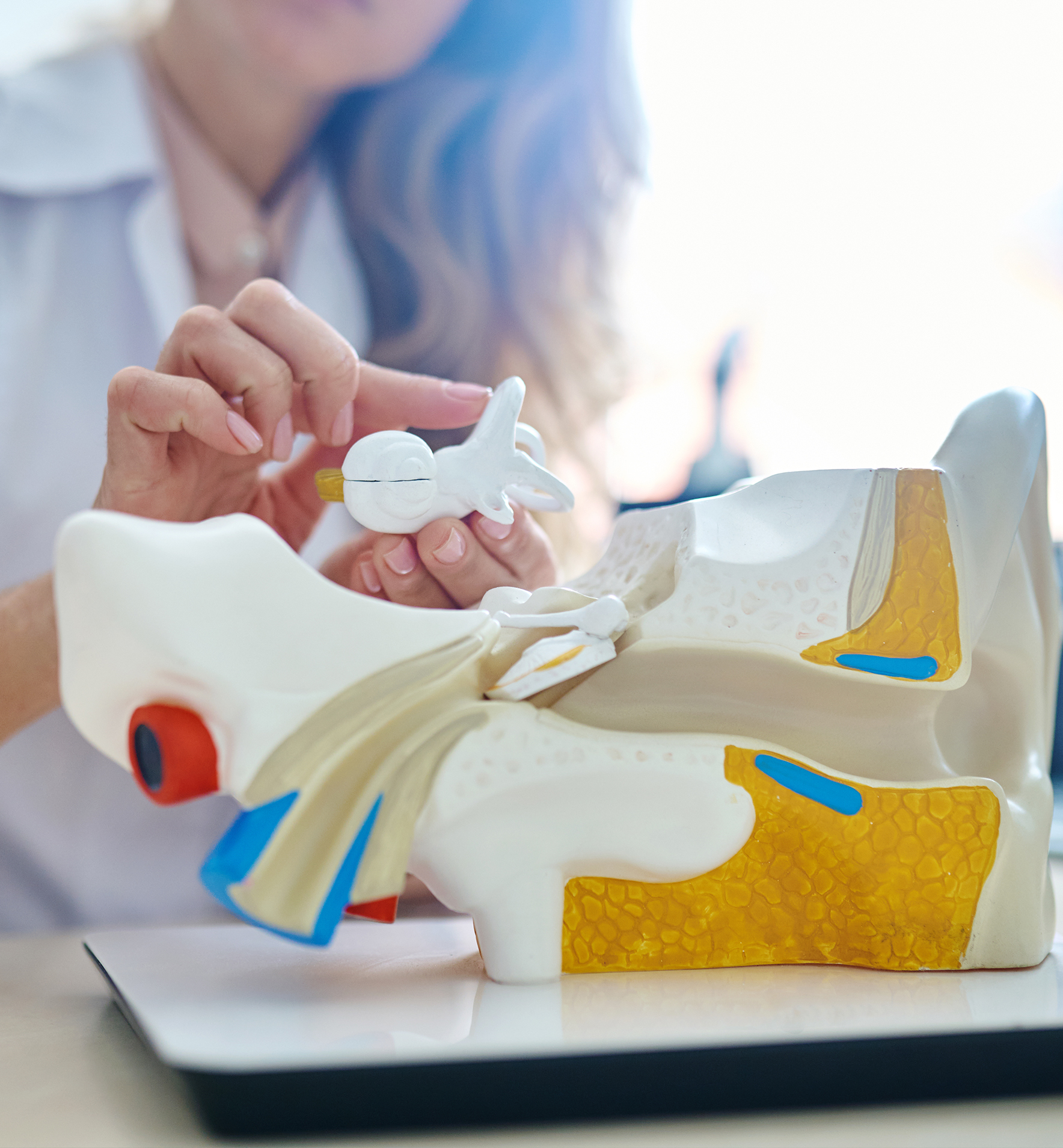 Our Services | Orlando Ear, Nose and Throat Associates