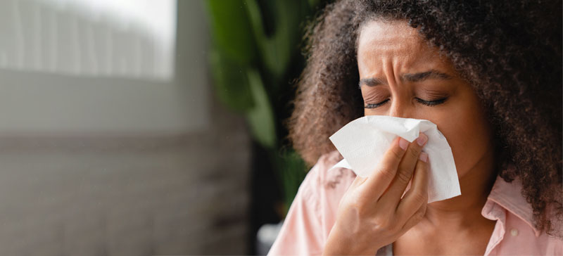 Home Audio Blog Allergen Immunotherapy Explained Benefits Options And ...